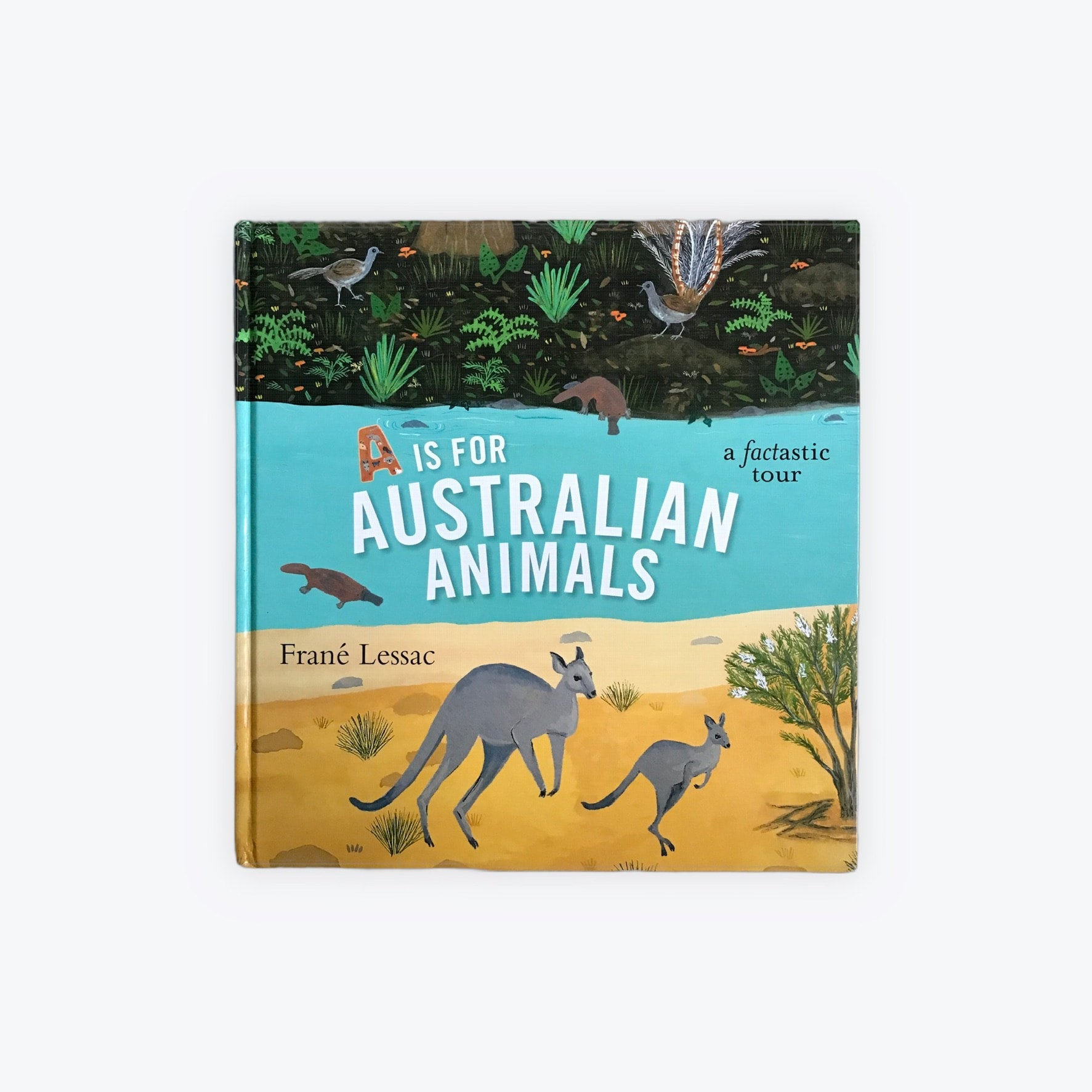 A Is For Australian Animals - Frané Lessac, | By The Pen